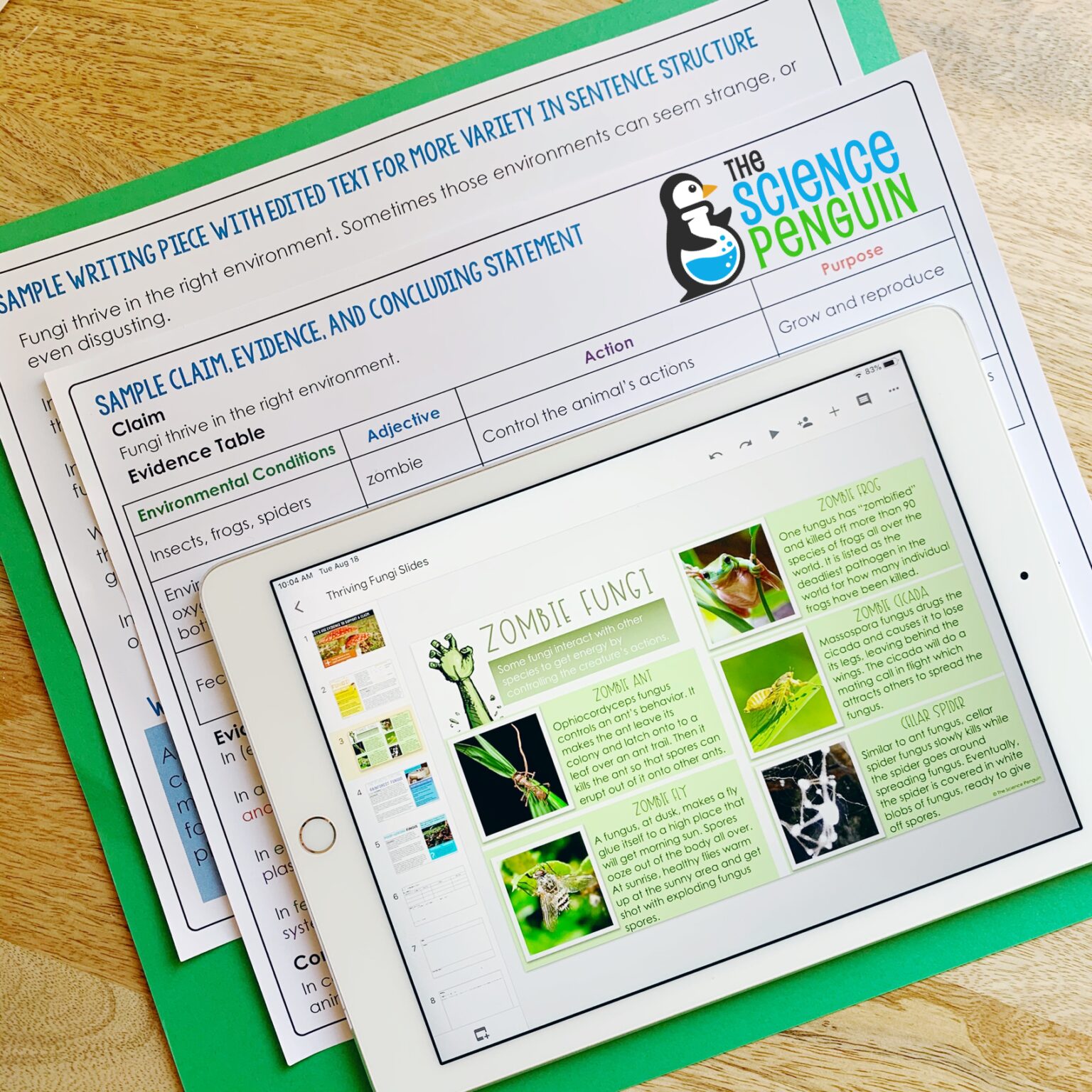 CER in Science: How to Boost Reading, Writing, and Science Skills in ...