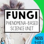 NGSS & Phenomena in Science: 4th and 5th Grade Science Curriculum- Not ...