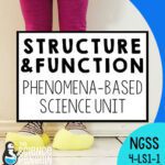NGSS & Phenomena in Science: 4th and 5th Grade Science Curriculum- Not ...