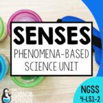 NGSS & Phenomena in Science: 4th and 5th Grade Science Curriculum- Not ...