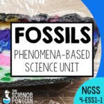 NGSS & Phenomena in Science: 4th and 5th Grade Science Curriculum- Not ...