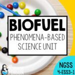 NGSS & Phenomena in Science: 4th and 5th Grade Science Curriculum- Not ...