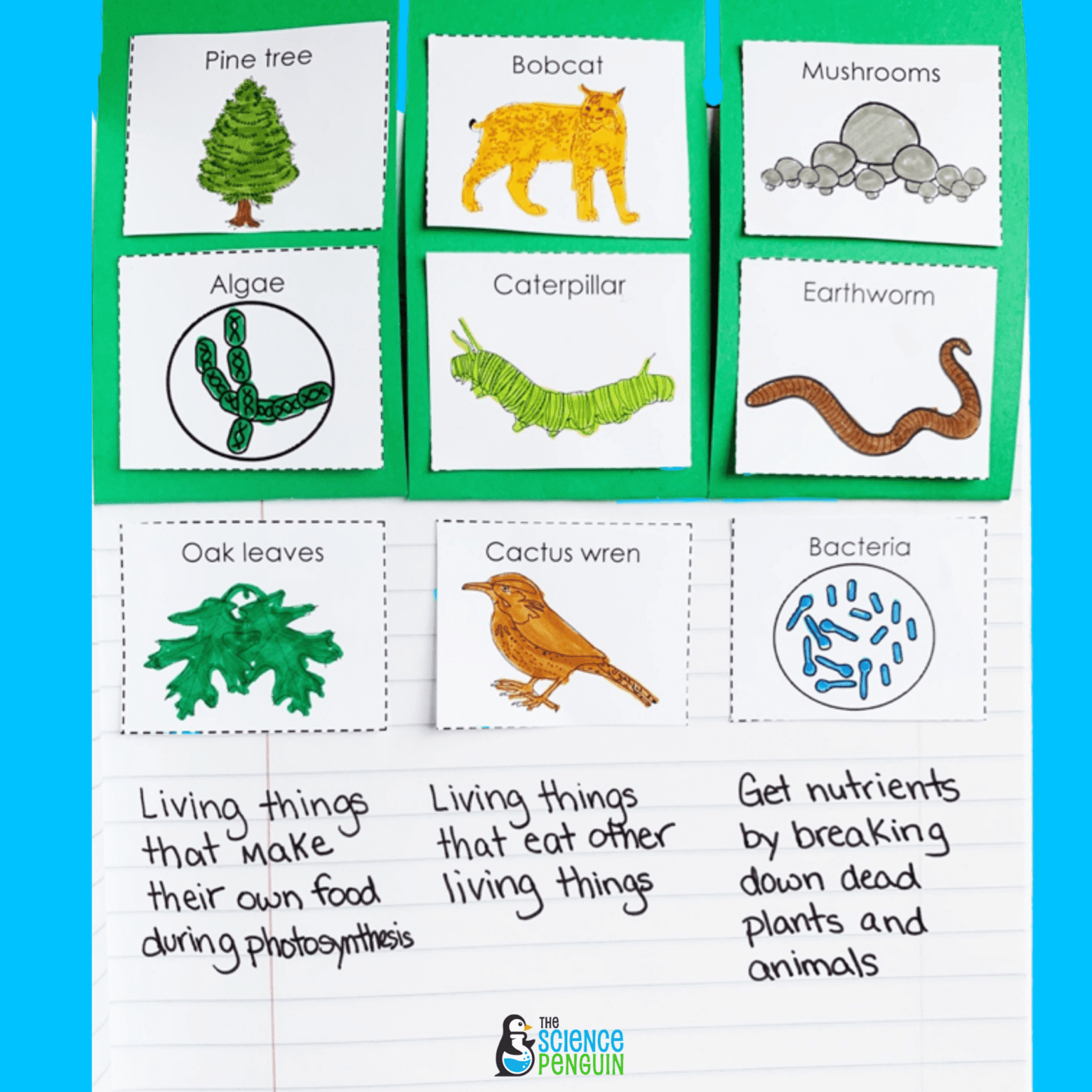 Setting Up Sensational Science Interactive Notebooks in 3rd, 4th, 5th ...