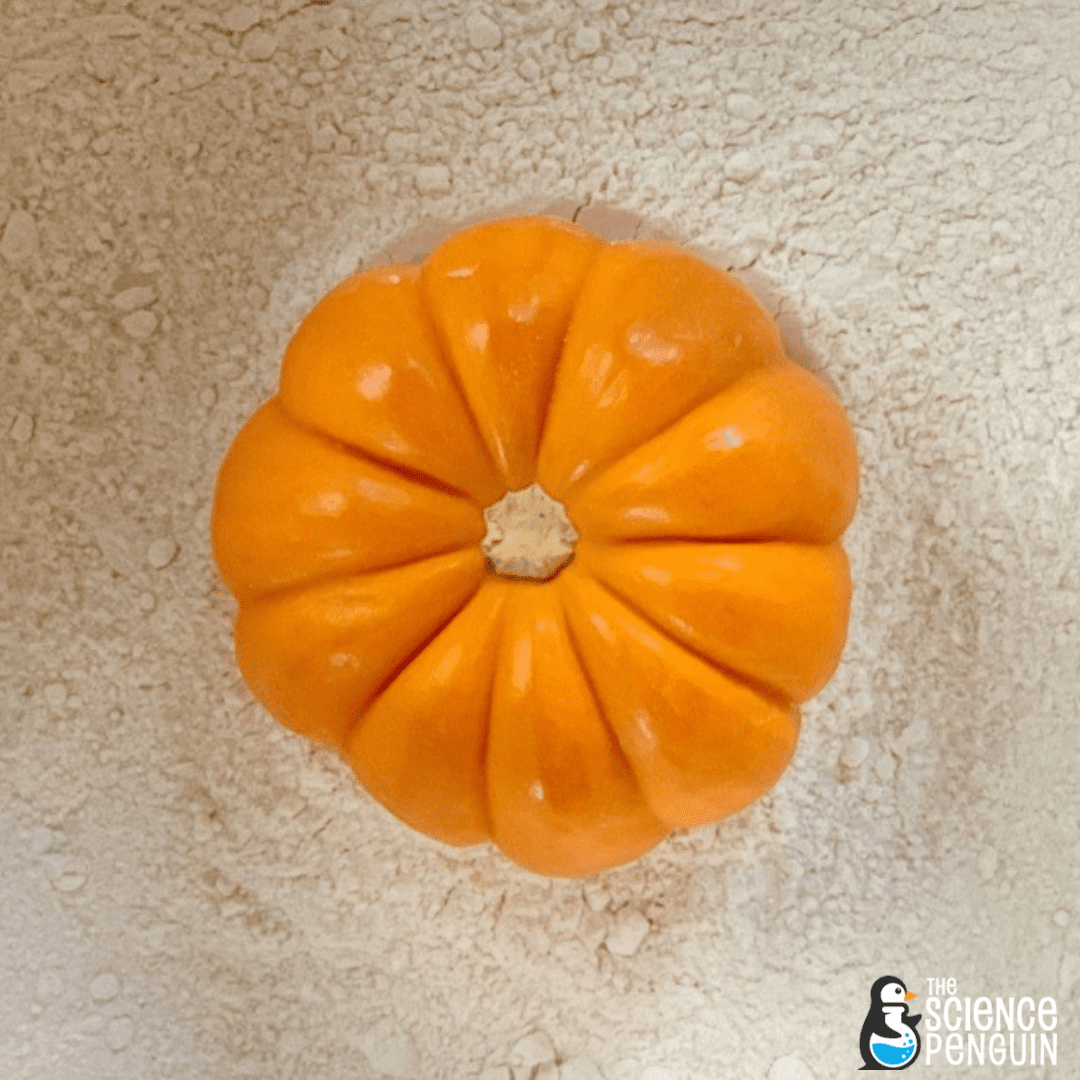 4 Fun Halloween Science Experiments for 4th Grade and 5th Grade — The ...