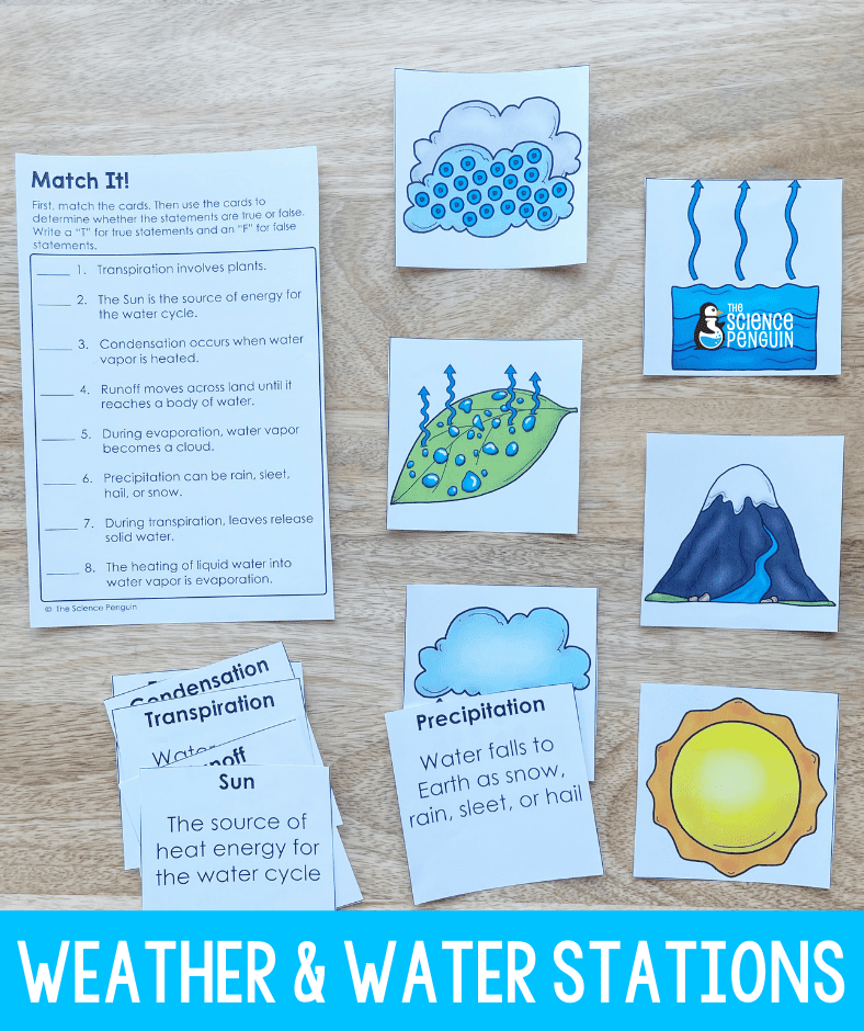7 Amazing Ideas for Teaching the Water Cycle — The Science Penguin