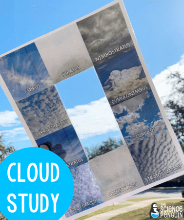 7 Amazing Ideas for Teaching the Water Cycle — The Science Penguin