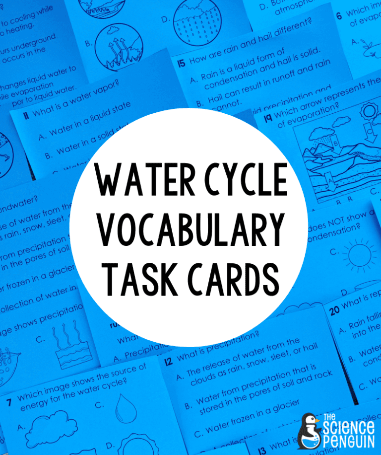 7 Amazing Ideas for Teaching the Water Cycle — The Science Penguin