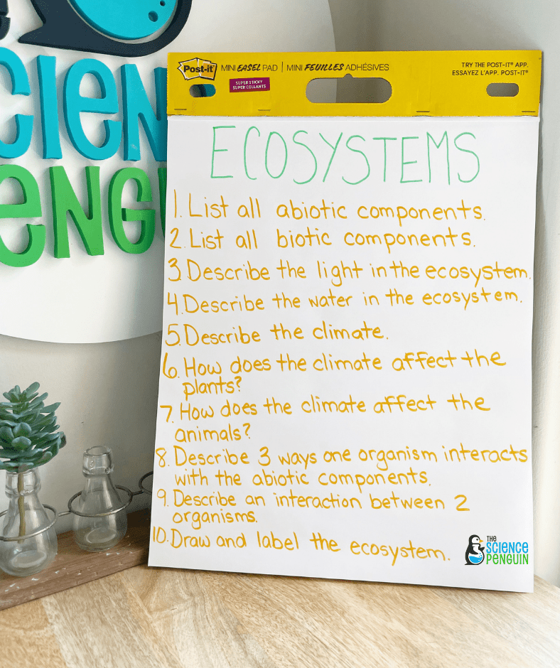 5 Ideas to Teach Students About Ecosystem Interactions — The Science ...