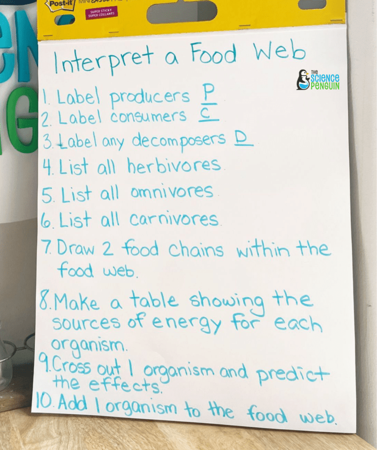 7 Ideas to Teach Ecosystems and Food Webs