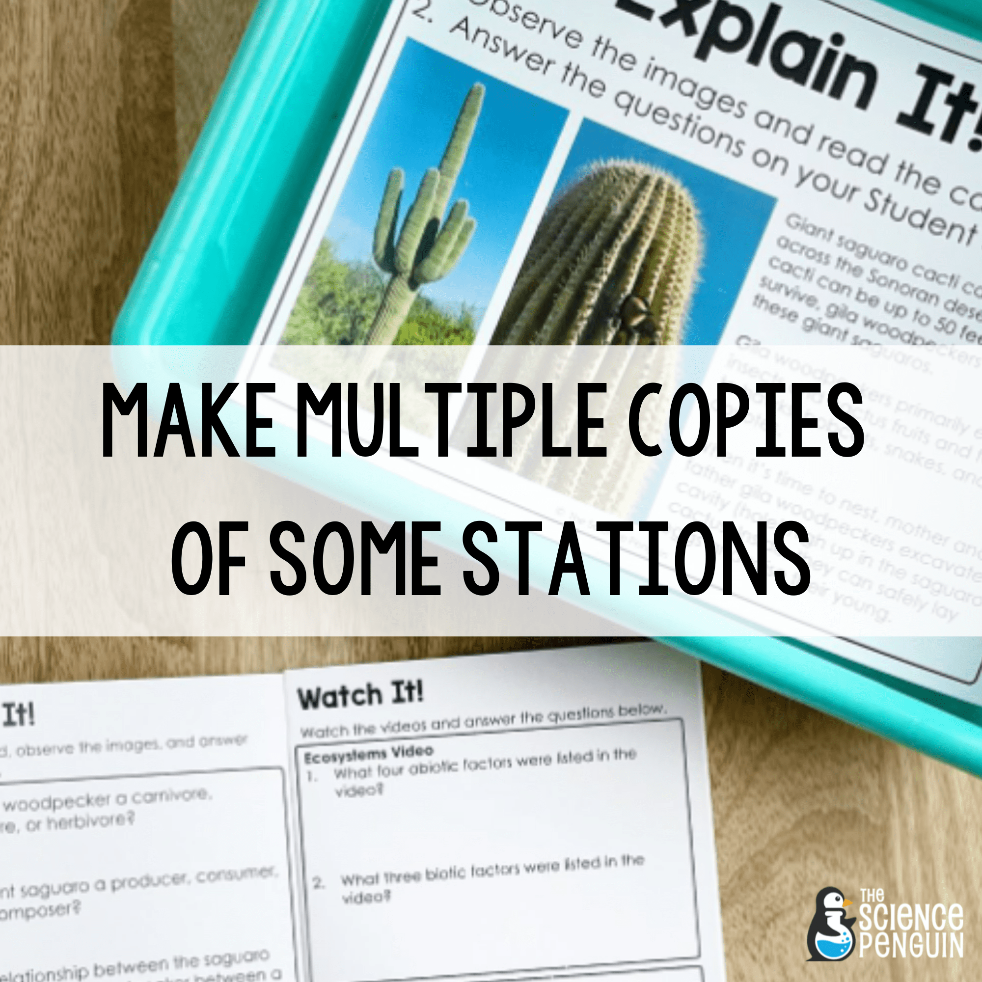 3 Top Tips for Science Stations Success — The Science Penguin