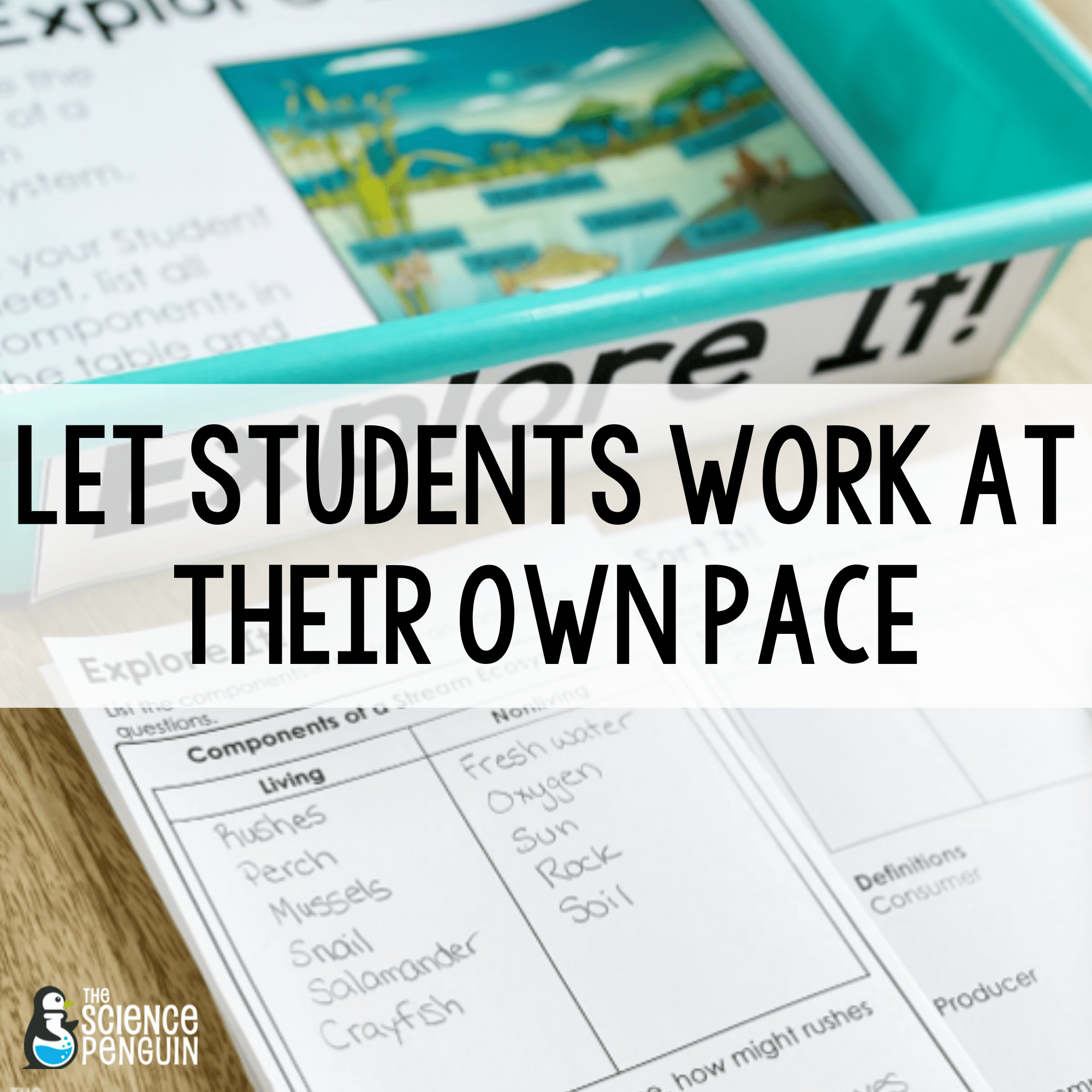3 Top Tips for Science Stations Success — The Science Penguin