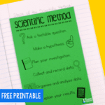 5 Ideas for Teaching Science Practices — The Science Penguin