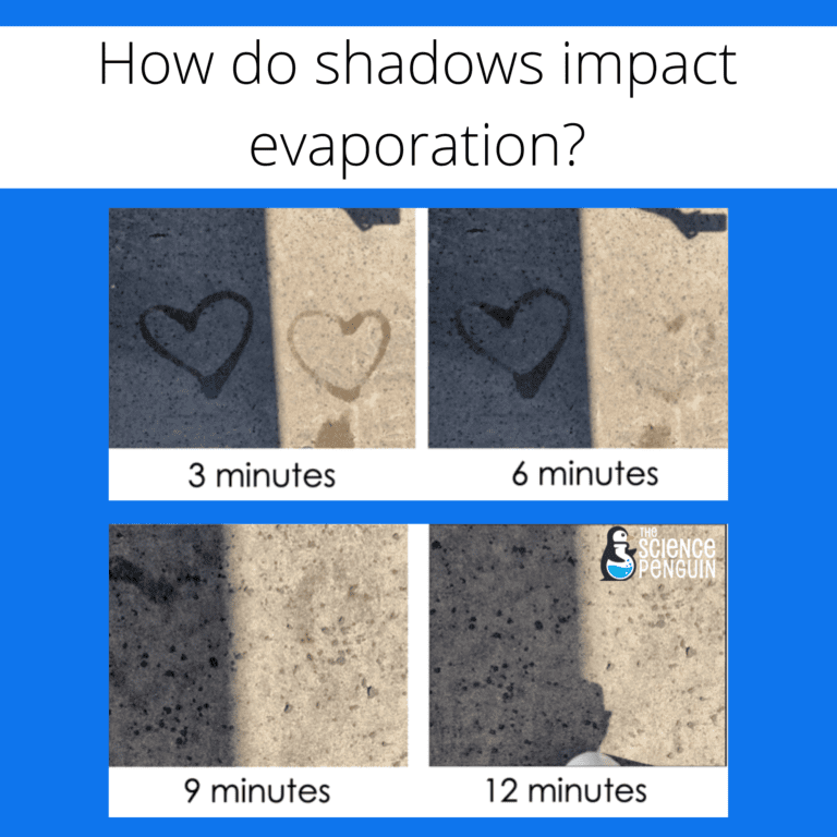 Changing States of Matter: Evaporation, Condensation, Freezing, and ...