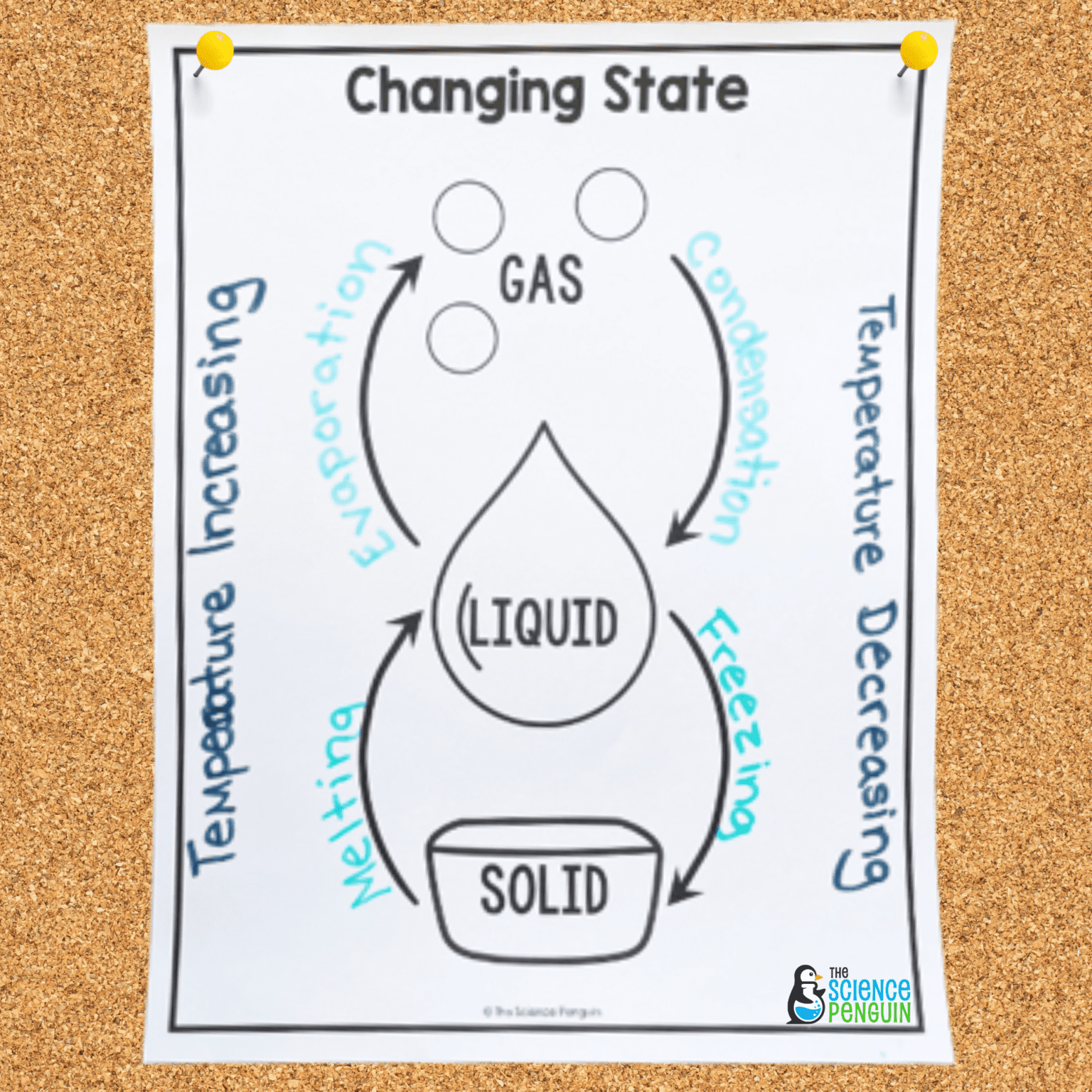 Changing States of Matter: Evaporation, Condensation, Freezing, and ...