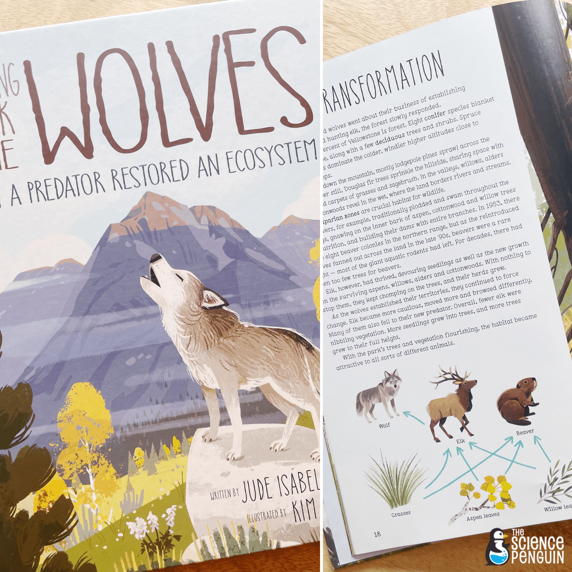 PHENOMENAL Food Webs: Teaching the 5th grade NGSS food webs standard ...