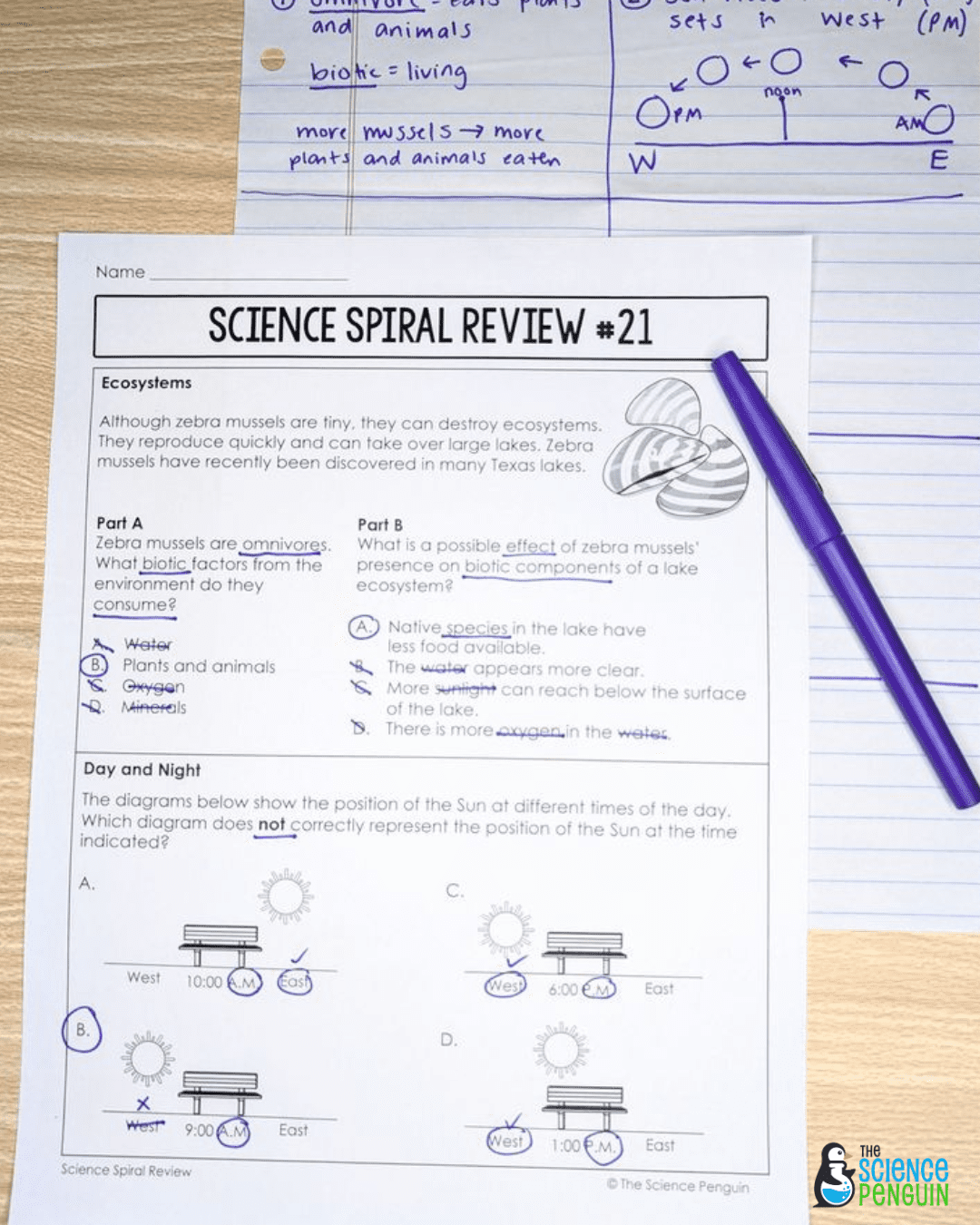 Why you should be using spiral reviews in science (yes, science!) — The ...