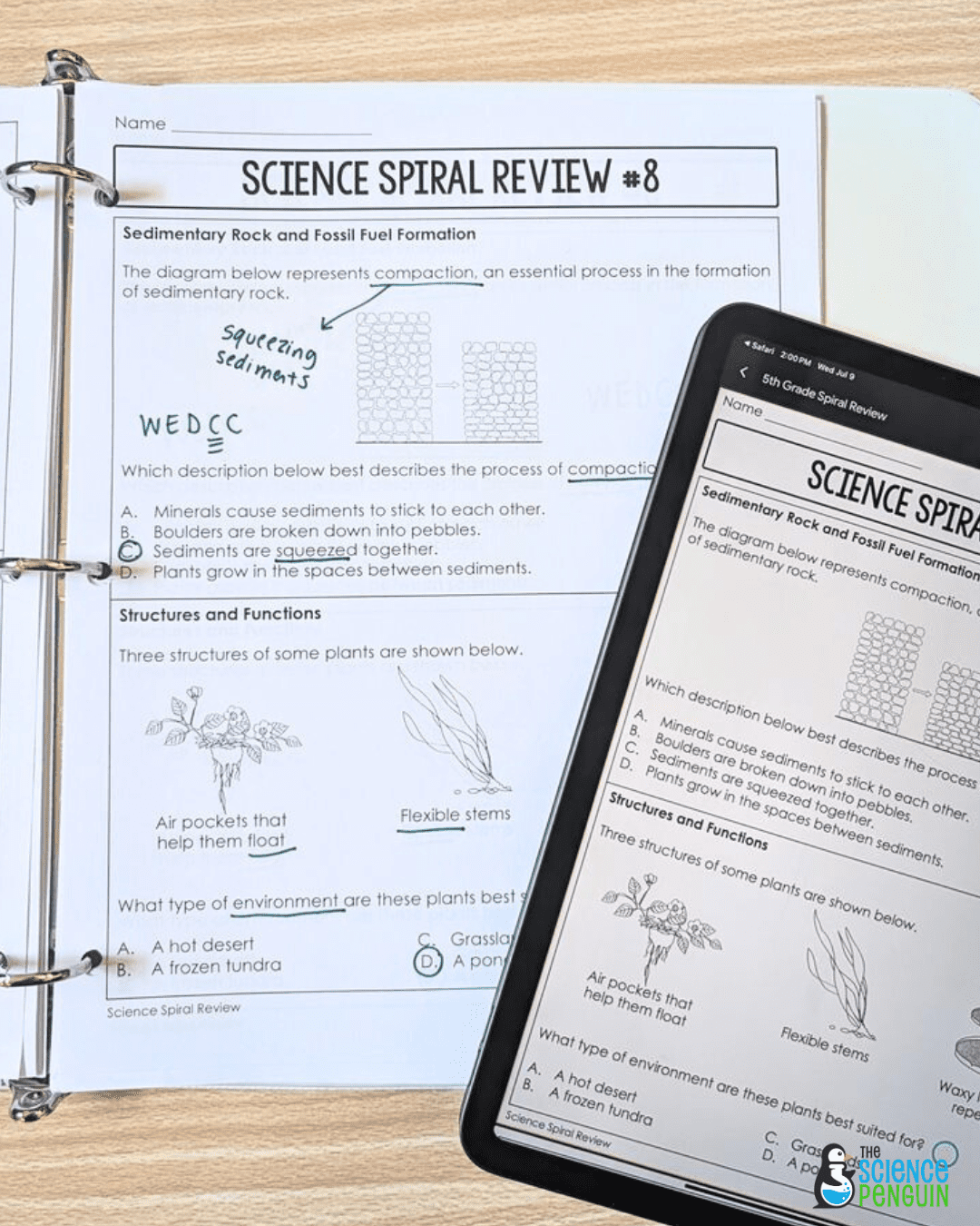 Why you should be using spiral reviews in science (yes, science!) — The ...