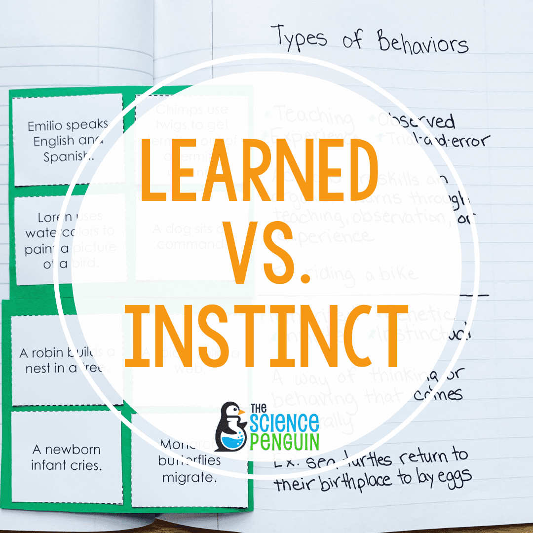 Learned Behaviors vs. Instincts: Learning about Animal Behavior — The ... Learned Behaviors vs. Instincts: Learning about Animal Behavior — The ...
