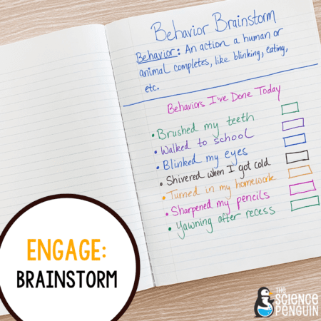 Learned Behaviors vs. Instincts: Learning about Animal Behavior — The ...