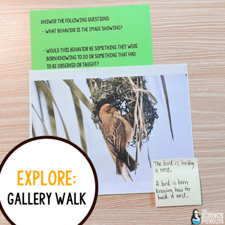 Learned Behaviors vs. Instincts: Learning about Animal Behavior — The ...