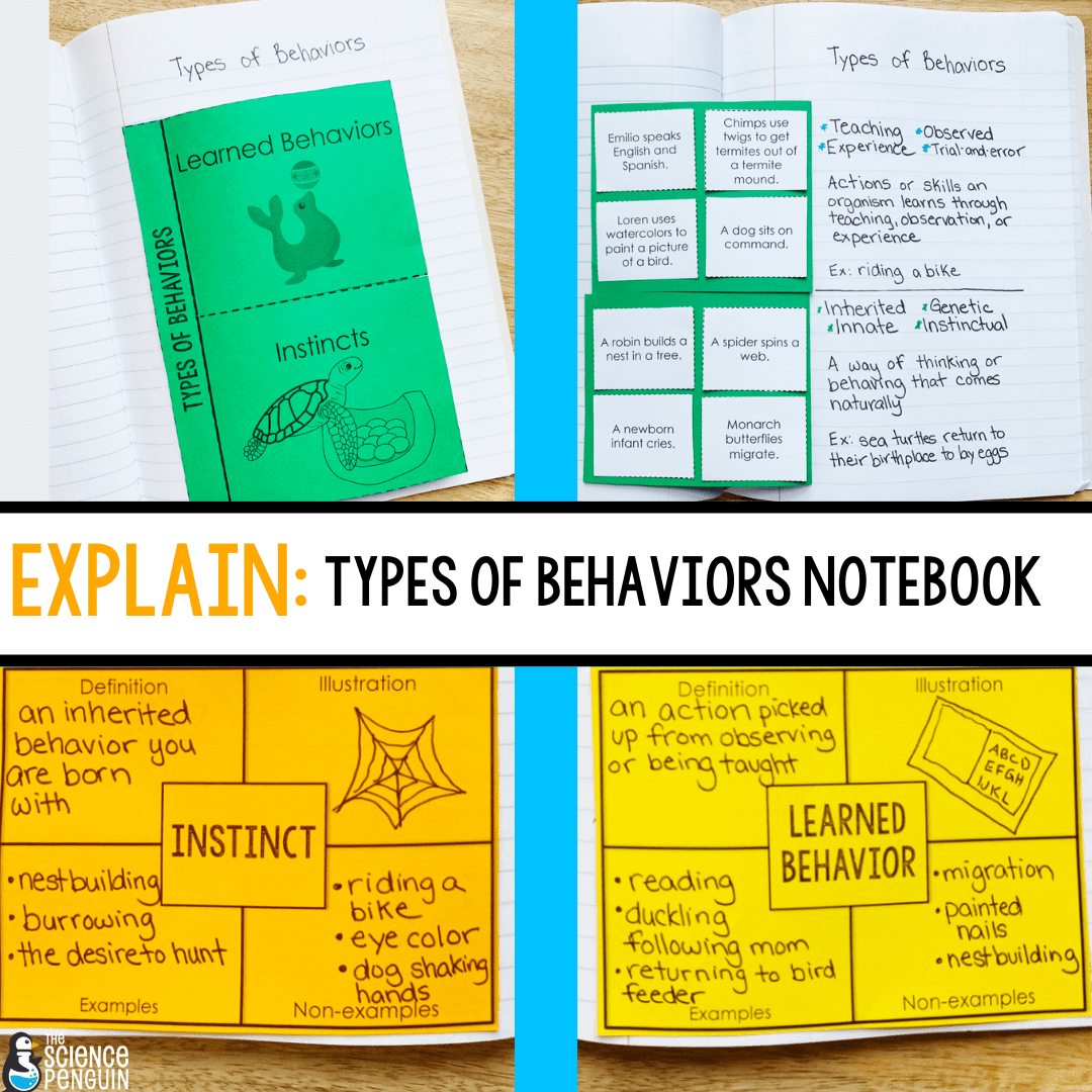 Learned Behaviors vs. Instincts: Learning about Animal Behavior — The ...