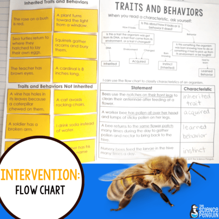 Learned Behaviors vs. Instincts: Learning about Animal Behavior — The ...