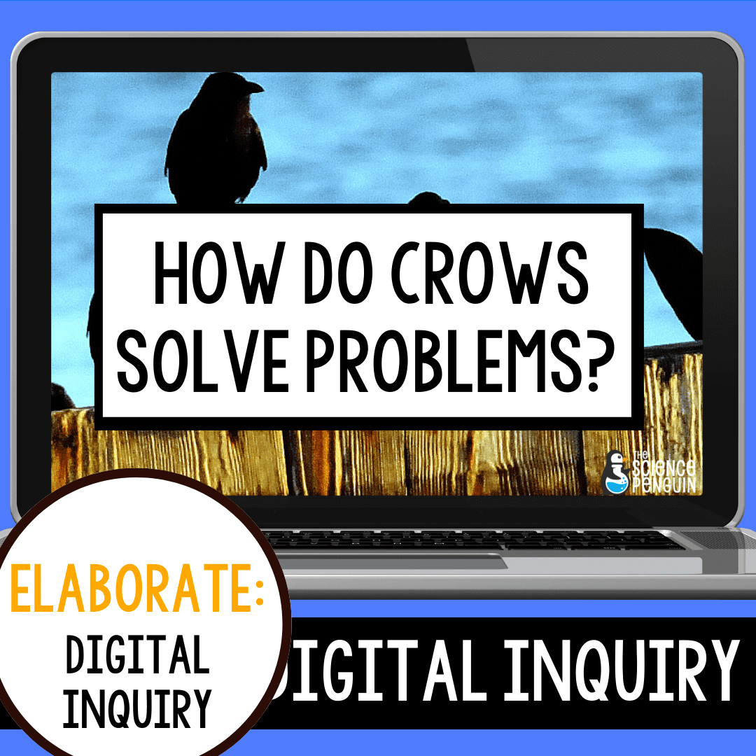 Learned Behaviors vs. Instincts: Learning about Animal Behavior — The ...