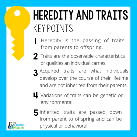 5 Ideas for Inherited Traits and Acquired Traits for 3rd, 4th, and 5th ...