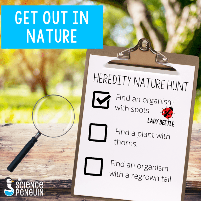 5 Ideas for Inherited Traits and Acquired Traits for 3rd, 4th, and 5th ...