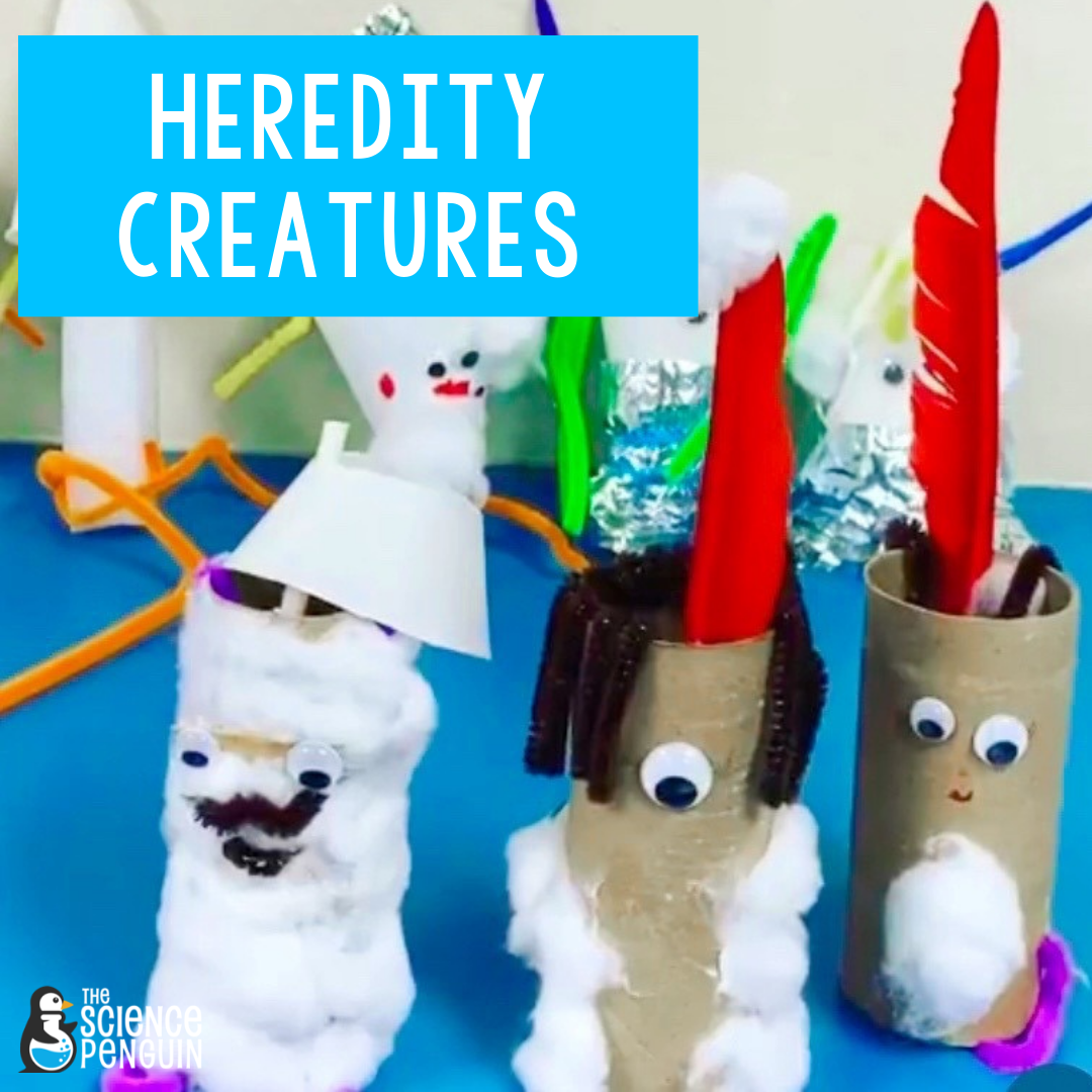 5 Ideas for Inherited Traits and Acquired Traits for 3rd, 4th, and 5th ...