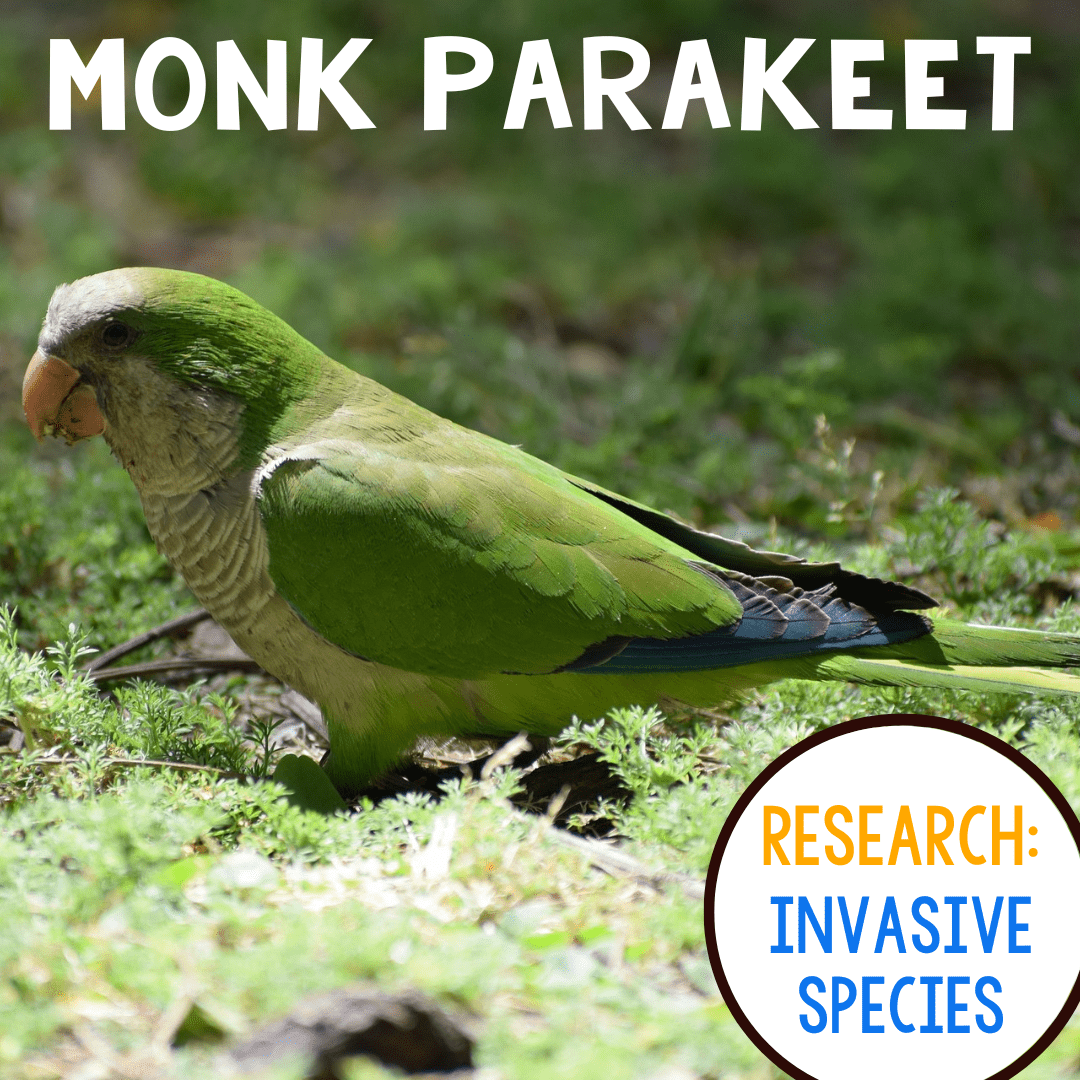 5 Ideas To Teach Students About Changes in Ecosystems — The Science Penguin