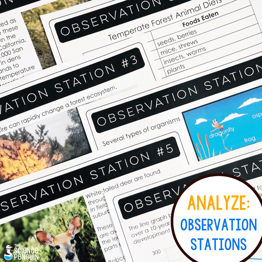 5 Ideas To Teach Students About Changes in Ecosystems — The Science Penguin