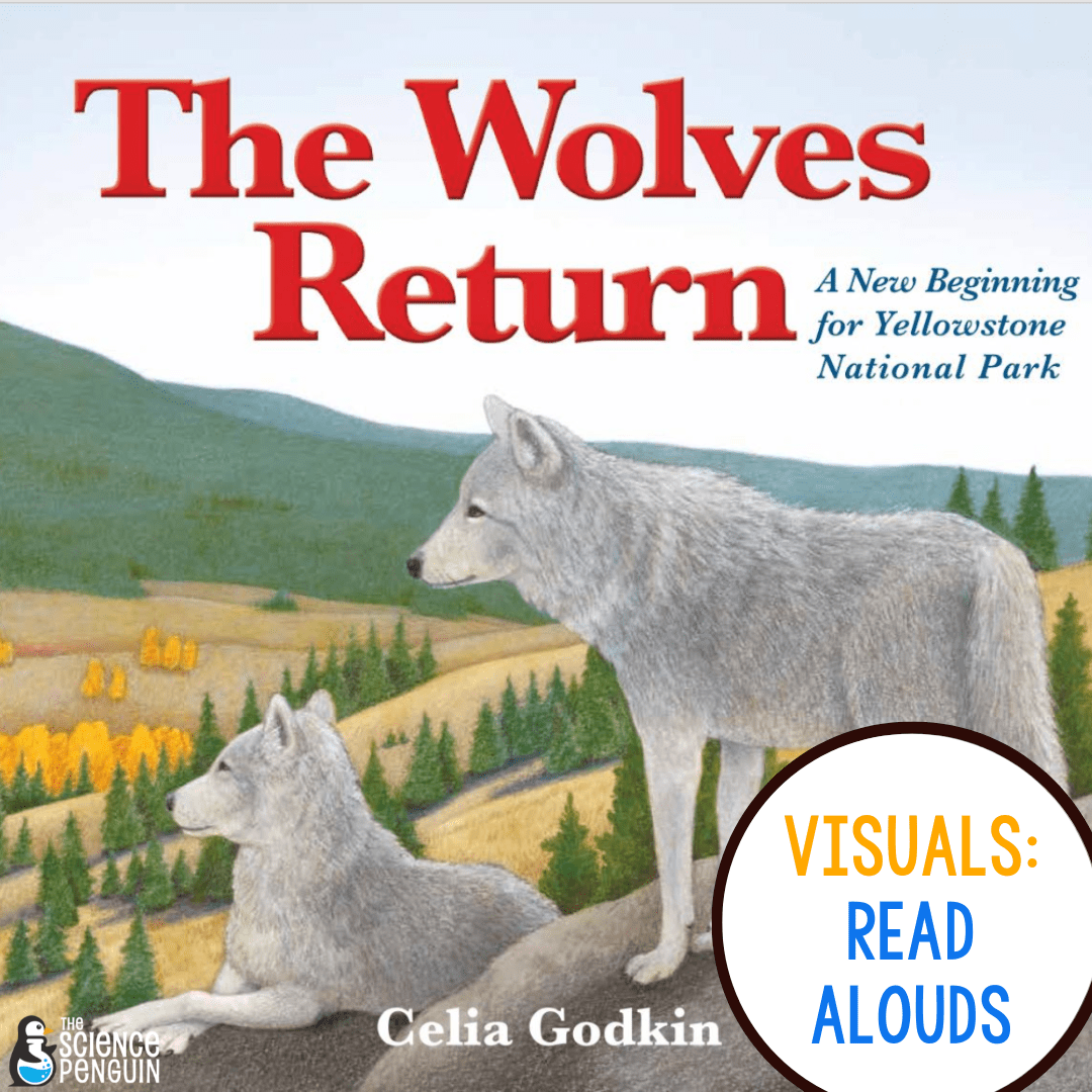 5 Ideas To Teach Students About Changes in Ecosystems — The Science Penguin