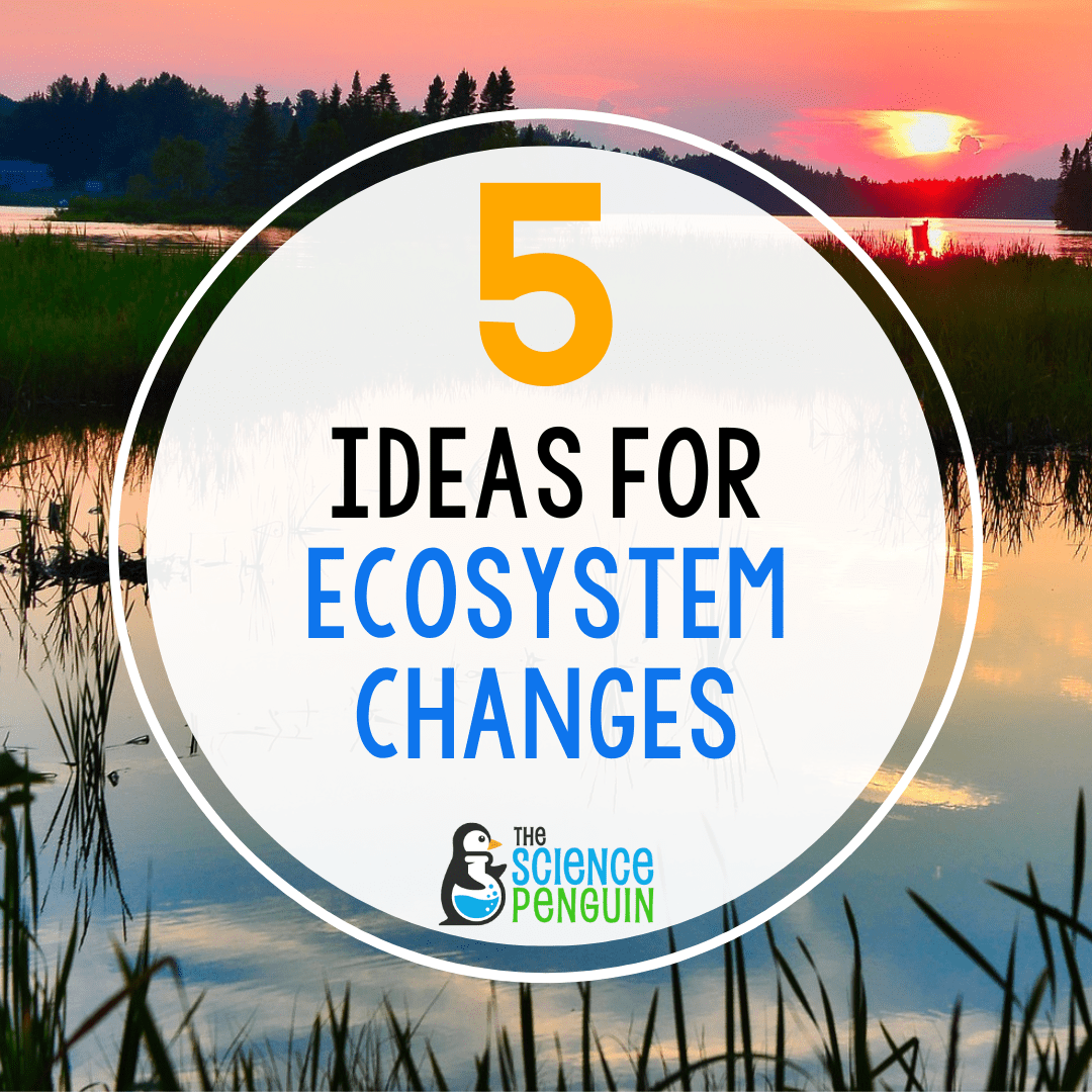 5 Ideas To Teach Students About Changes in Ecosystems — The Science Penguin