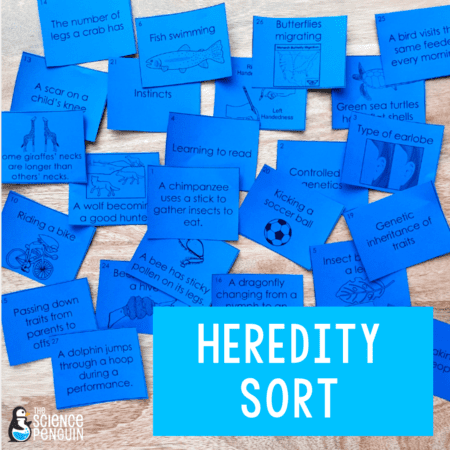 5 Ideas for Inherited Traits and Acquired Traits for 3rd, 4th, and 5th ...