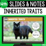 5 Ideas for Inherited Traits and Acquired Traits for 3rd, 4th, and 5th ...