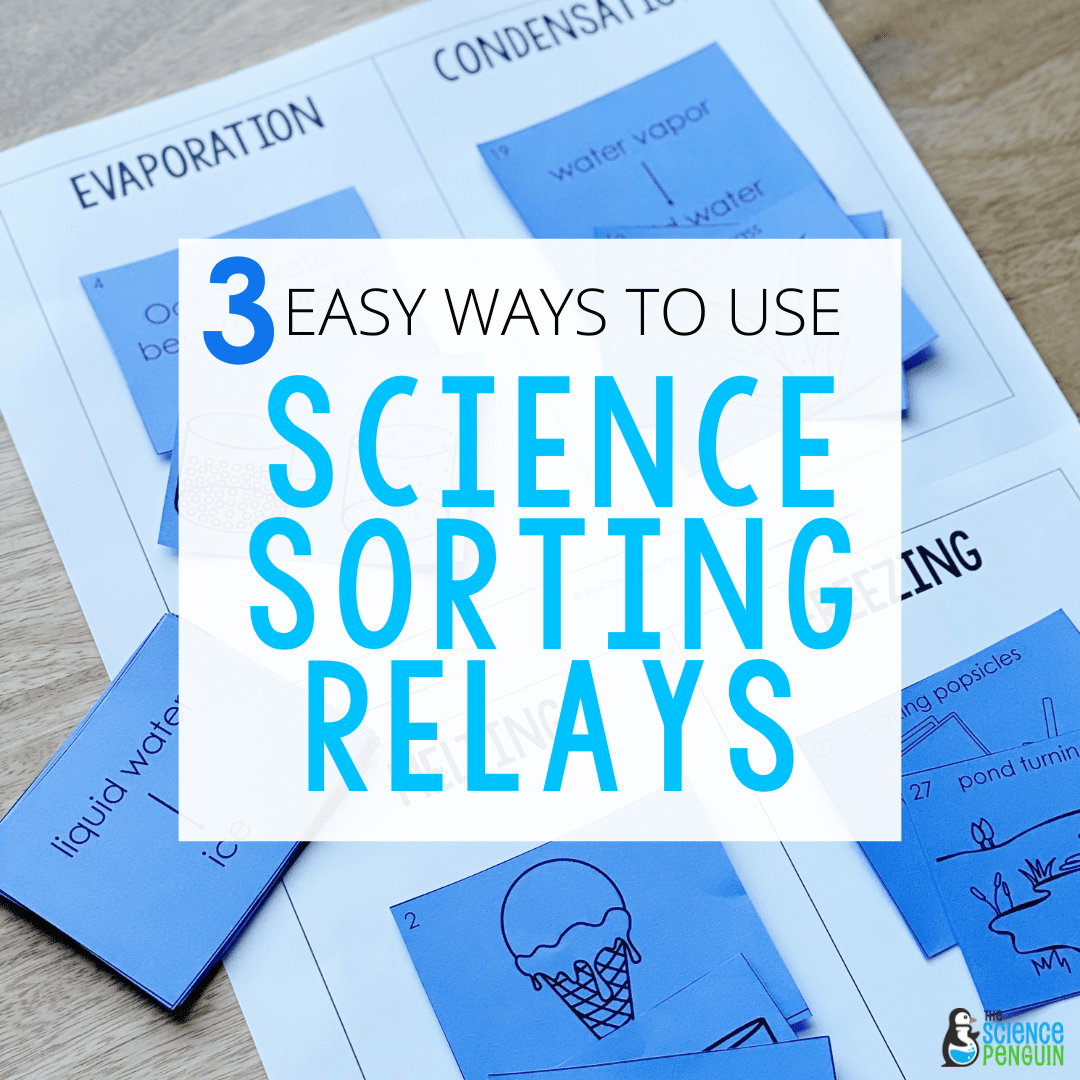 3 EASY Ways to use Science Sorts — The Science Penguin