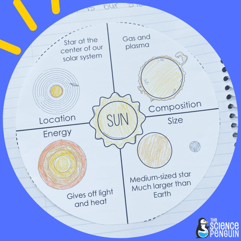1st and 2nd Grade Foldable Interactive Science Notebook Activities ...