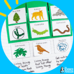 Sensational Science Notebooks for 1st, 2nd, 3rd, 4th, 5th, and 6th ...