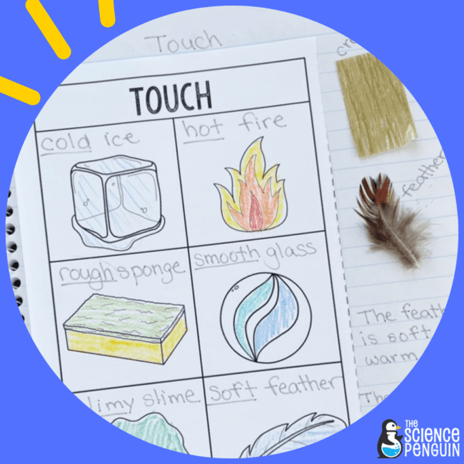 1st and 2nd Grade Foldable Interactive Science Notebook Activities ...