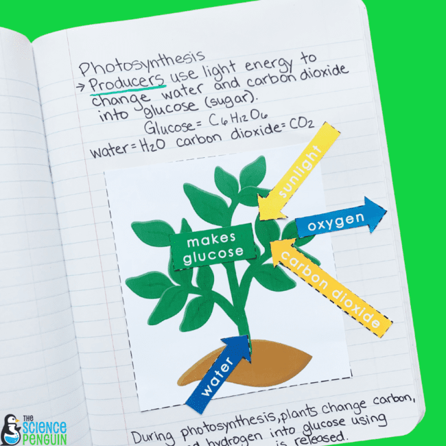 3rd Grade, 4th Grade & 5th Grade NGSS: Phenomenal Full Year Science ...