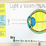 NGSS & Phenomena in Science: 4th and 5th Grade Science Curriculum- Not ...