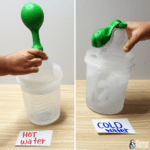 NGSS & Phenomena in Science: 4th and 5th Grade Science Curriculum- Not ...