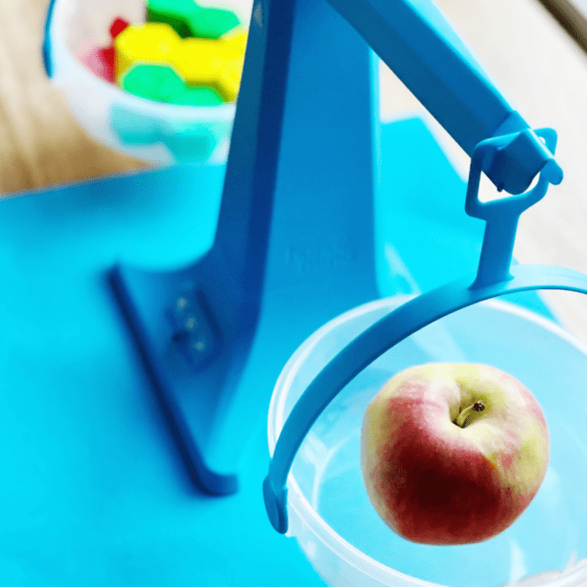 The Top Texas Science TEKS Full Year Resources for 3rd Grade, 4th Grade ...