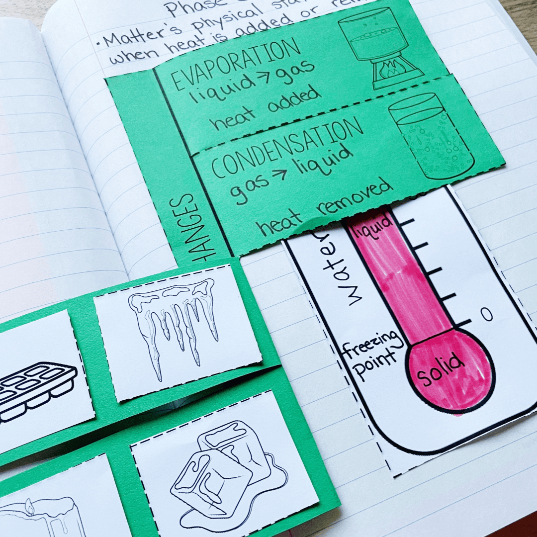 The Top Texas Science TEKS Full Year Resources for 3rd Grade, 4th Grade ...