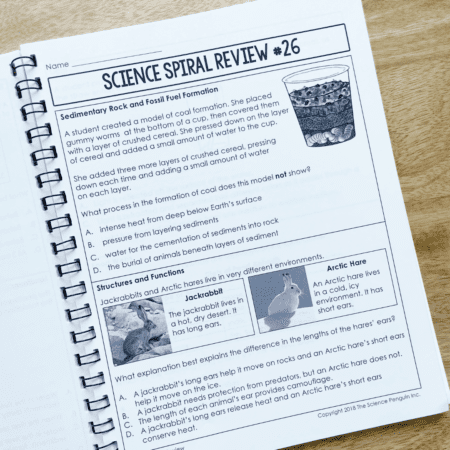 The Science Penguin for Elementary Science — The Science Penguin