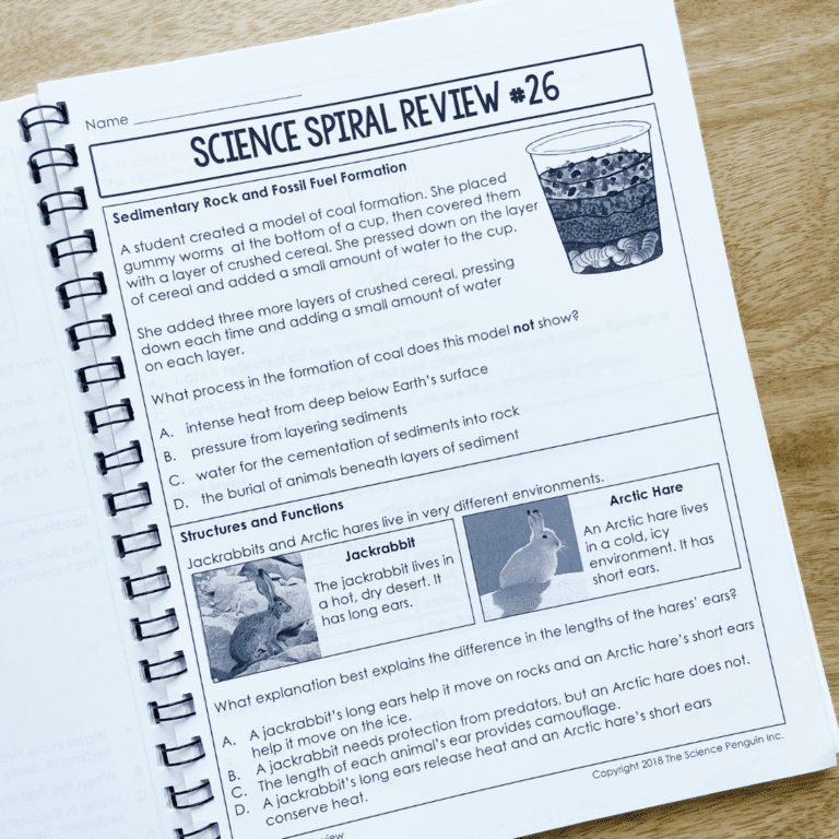 The Science Penguin for Elementary Science — The Science Penguin