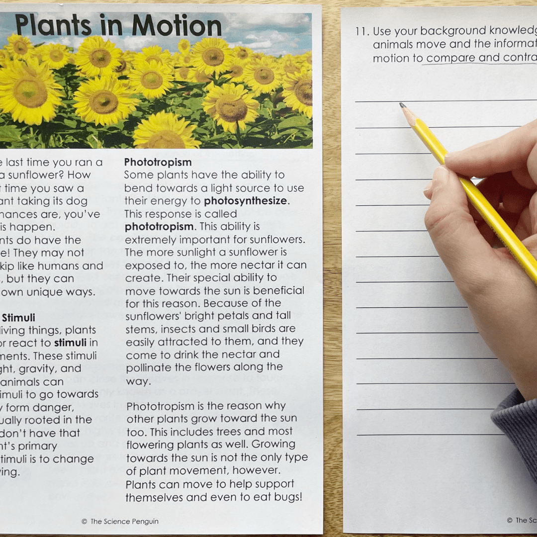 The Science Penguin for Elementary Science — The Science Penguin