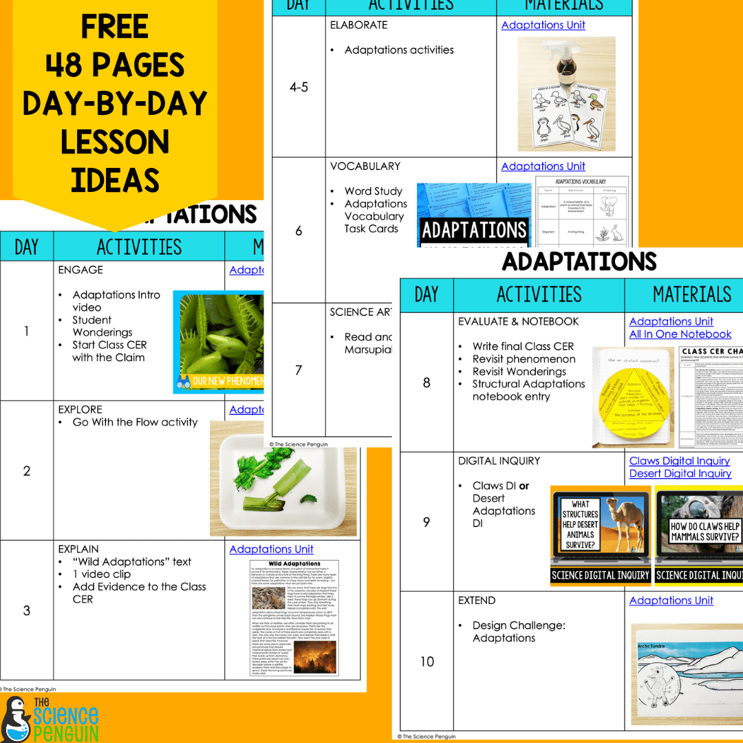 4th Grade NGSS Planning Guide — The Science Penguin