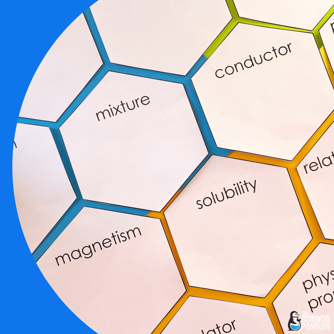 3 Unique & Easy Science Word Wall Ideas — The Science Penguin